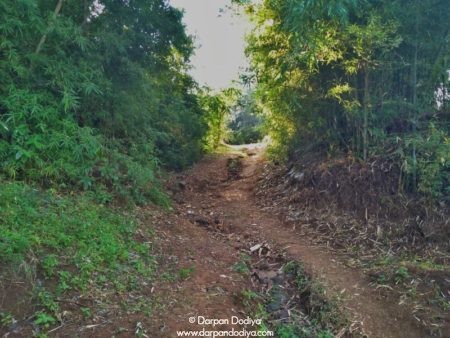 Mahal Eco Tourism Campsite Dangs, Gujarat – Darpan Dodiya