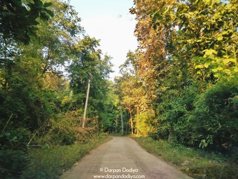 Mahal Eco Tourism Campsite Dangs, Gujarat – Darpan Dodiya