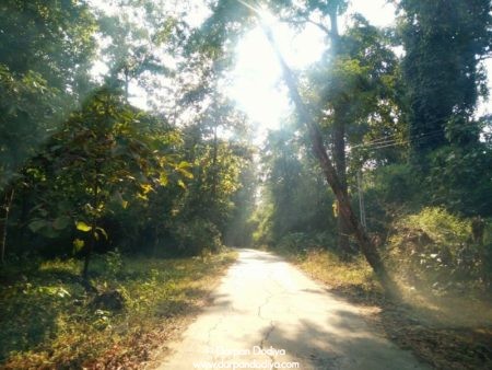 Mahal Eco Tourism Campsite Dangs, Gujarat – Darpan Dodiya