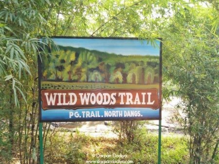 Mahal Eco Tourism Campsite Dangs, Gujarat – Darpan Dodiya