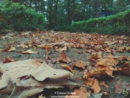 Padamdungari Eco Tourism Campsite, Gujarat – Darpan Dodiya