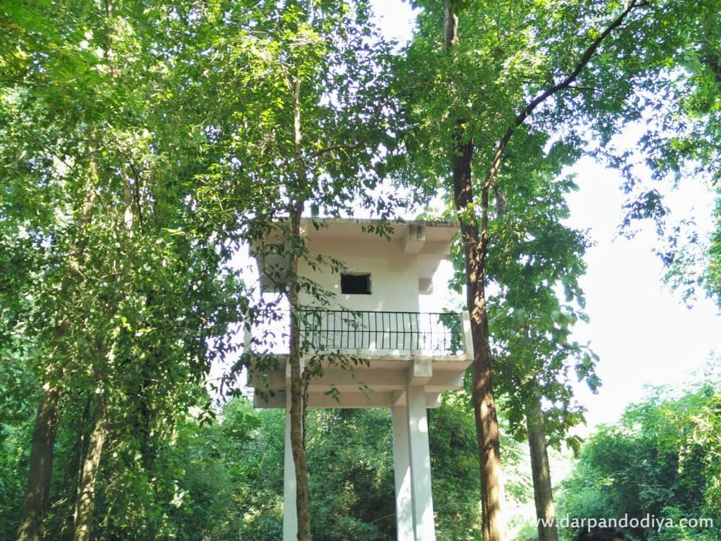 Vansda National Park, Surat, Gujarat : Timing, Fee, Booking, Contact ...