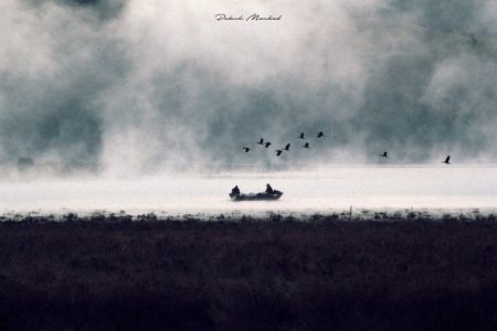 Junaraj Eco Tourism Campsite, Narmada, Gujarat – Darpan Dodiya