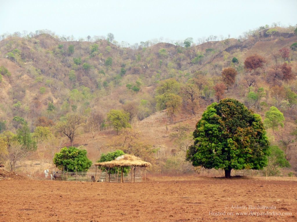 Junaraj Eco Tourism Campsite, Narmada, Gujarat – Darpan Dodiya