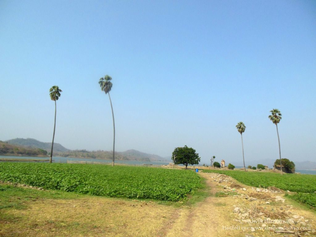 Junaraj Eco Tourism Campsite, Narmada, Gujarat – Darpan Dodiya