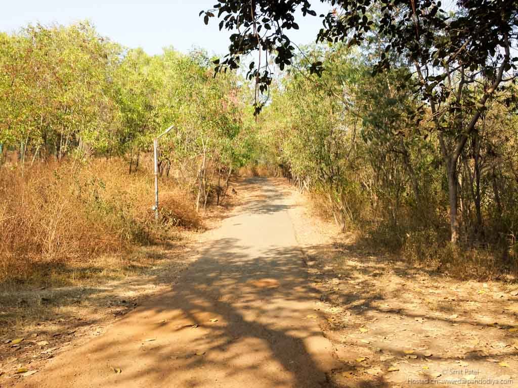 Parnera Hill Valsad – Historical Fort From Shivaji Time In Gujarat – Darpan Dodiya