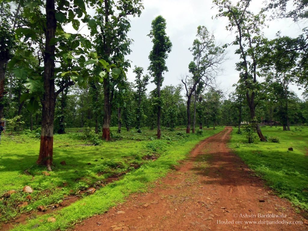 [Photos] [Monsoon] Devinamal Eco Tourism Campsite Dang, Gujarat in ...