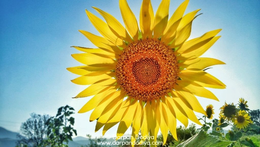 Saptashrungi Devi Temple Vani – A Photo Tour, History & Story – Darpan ...