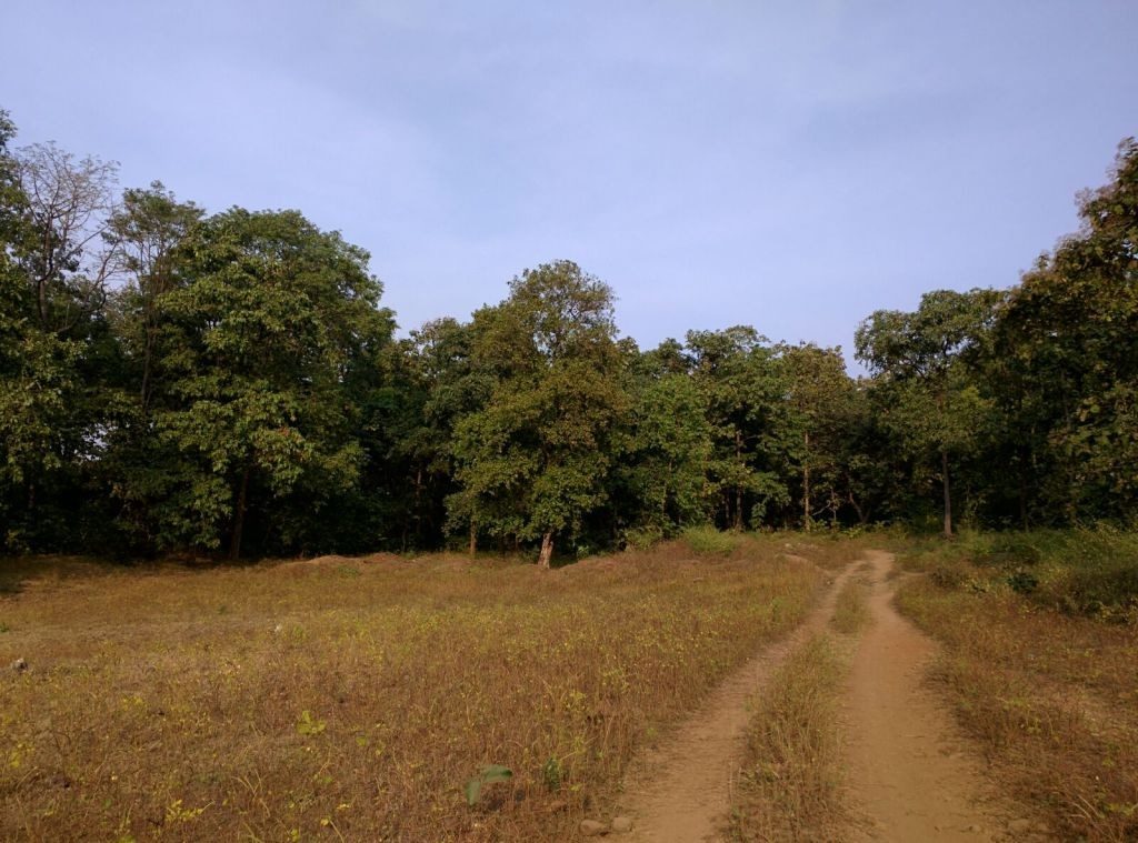 Jetpur Kevdi Eco Tourism Campsite, Mandvi, Surat – Darpan Dodiya