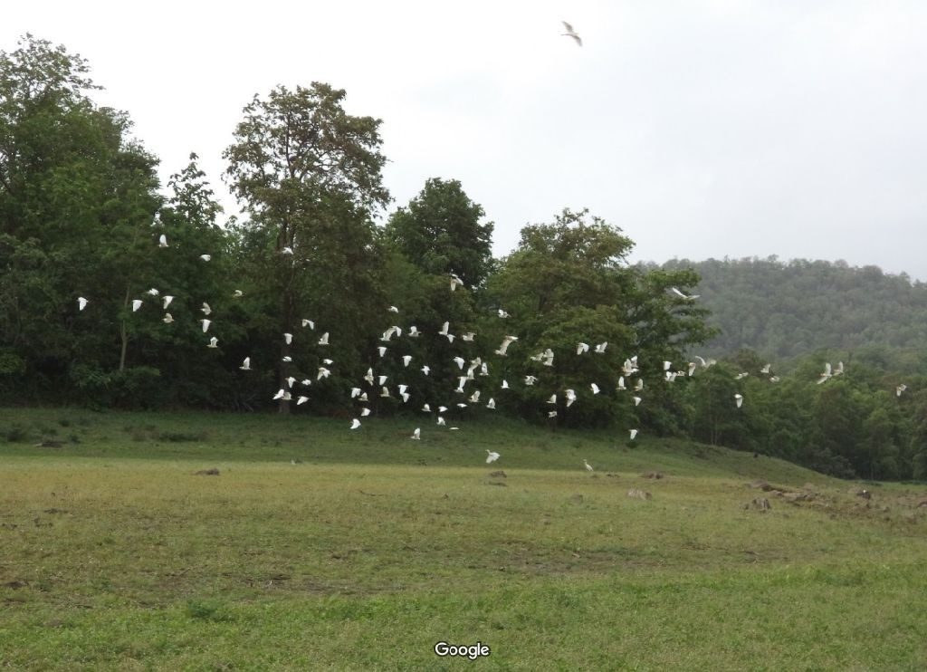 Jetpur Kevdi Eco Tourism Campsite, Mandvi, Surat – Darpan Dodiya