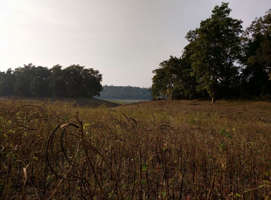 Jetpur Kevdi Eco Tourism Campsite, Mandvi, Surat – 2 – Darpan Dodiya