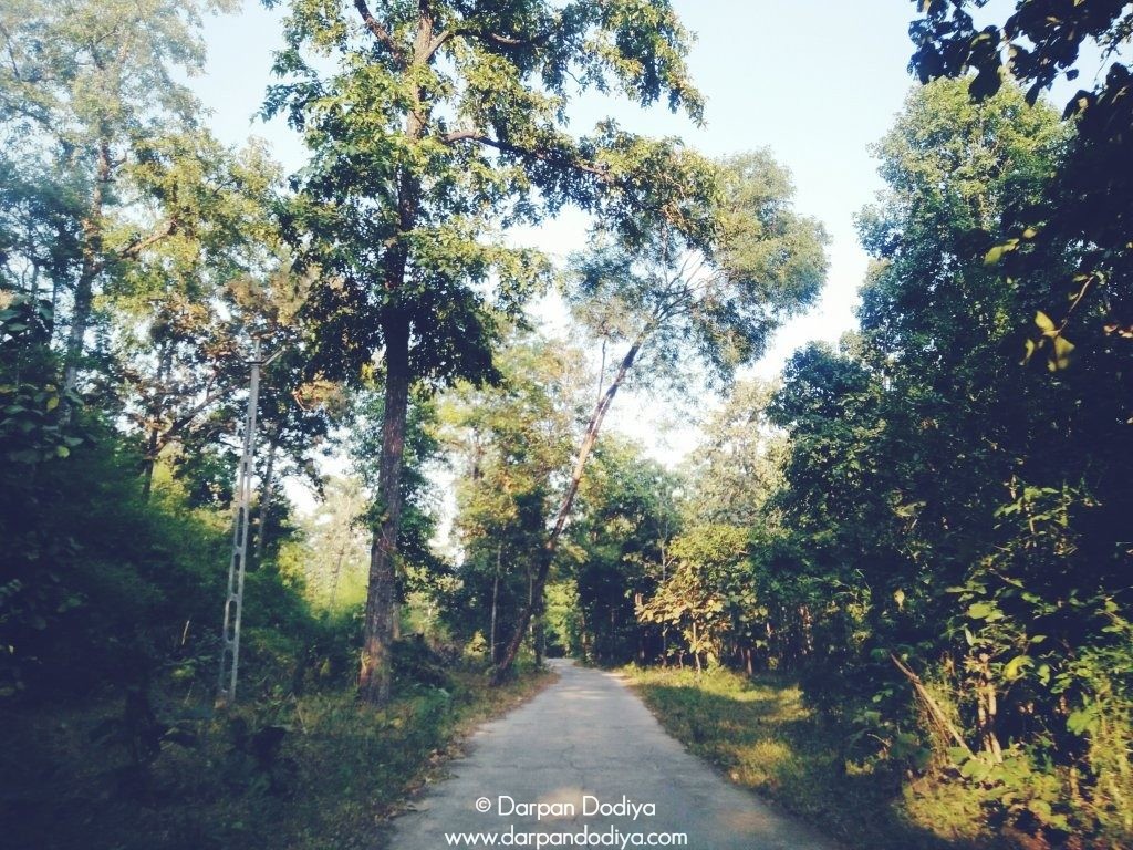 Purna Wildlife Sanctuary, Dang, Gujarat – Darpan Dodiya