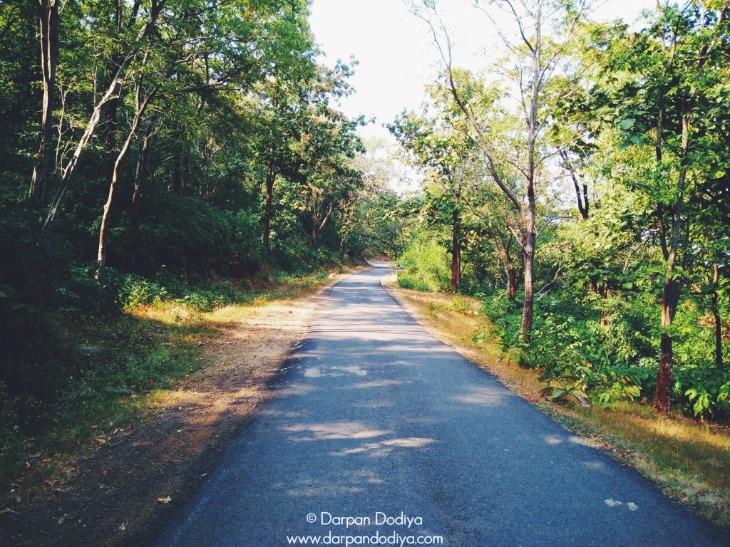 Purna Wildlife Sanctuary, Dang, Gujarat – Darpan Dodiya