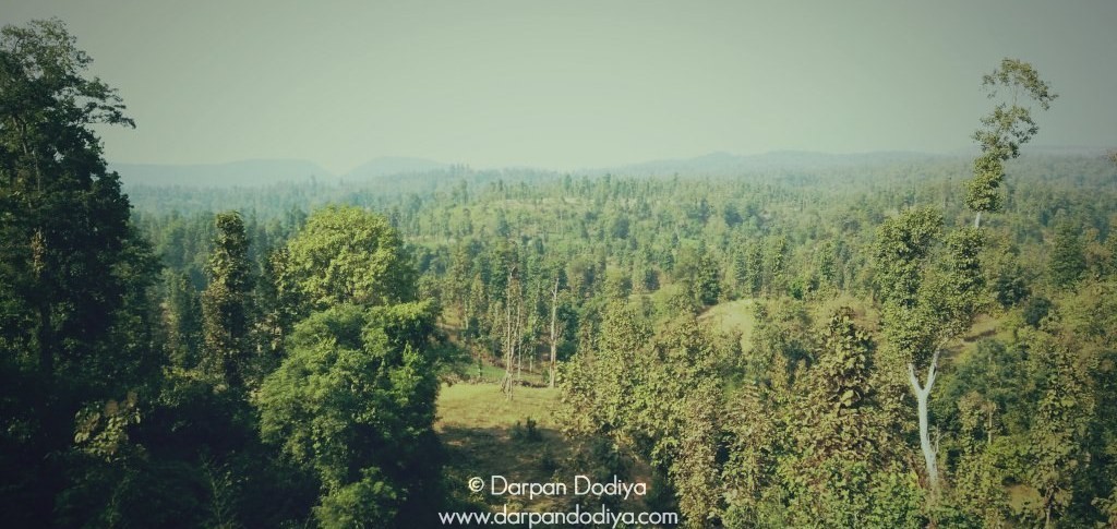 Purna Wildlife Sanctuary, Dang, Gujarat – Darpan Dodiya