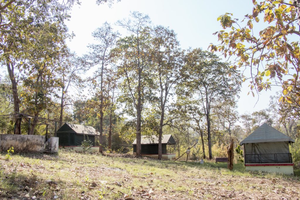 Devmogra Eco Tourism Campsite, Narmada, Gujarat – Darpan Dodiya